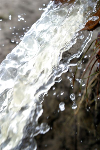 Café De Beyerd brouwt hét bier van Breda | Brabant Water | bewust ...